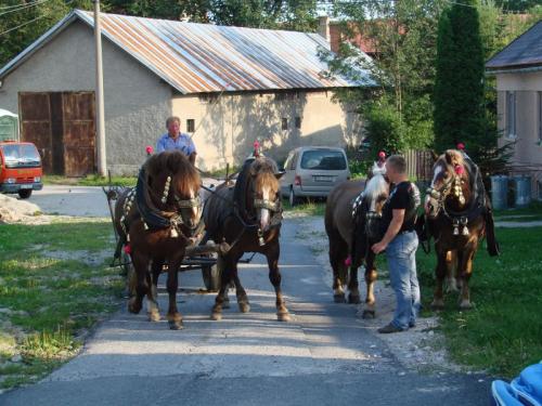 Obec Šumiac - dokumenty - Oficiálna stránka obce Šumiac